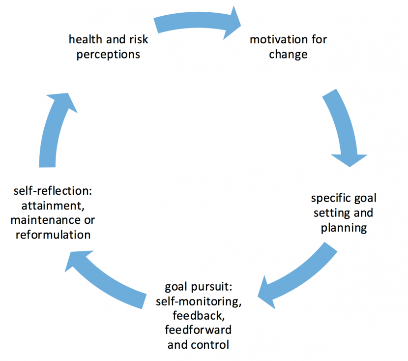 Self-regulation from theory to practice: supporting your patients ...