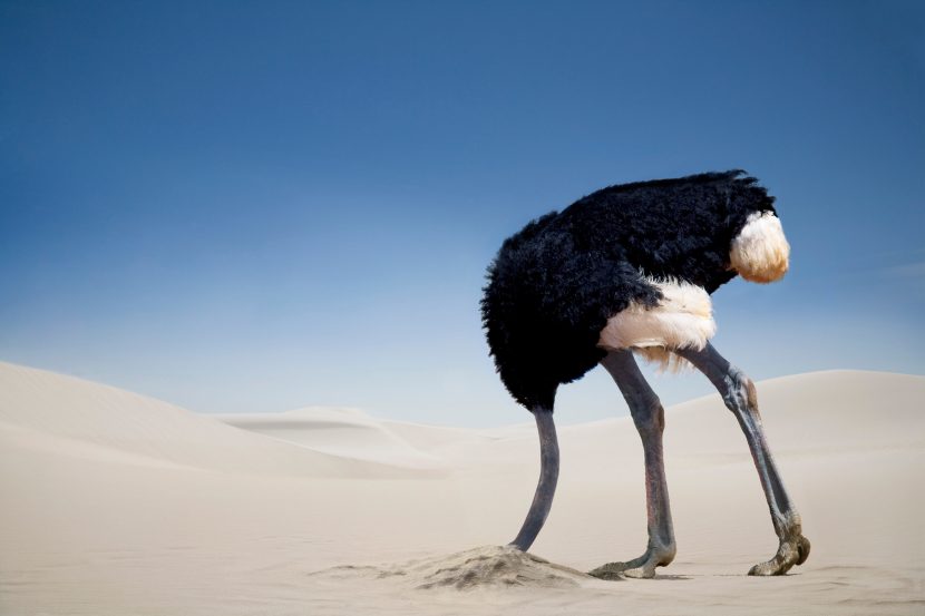 Stop being an ostrich! The benefits of helping people to monitor their ...